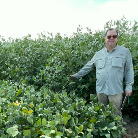 Eagle Large Lad Forage Soybean – Salt River Seed Company